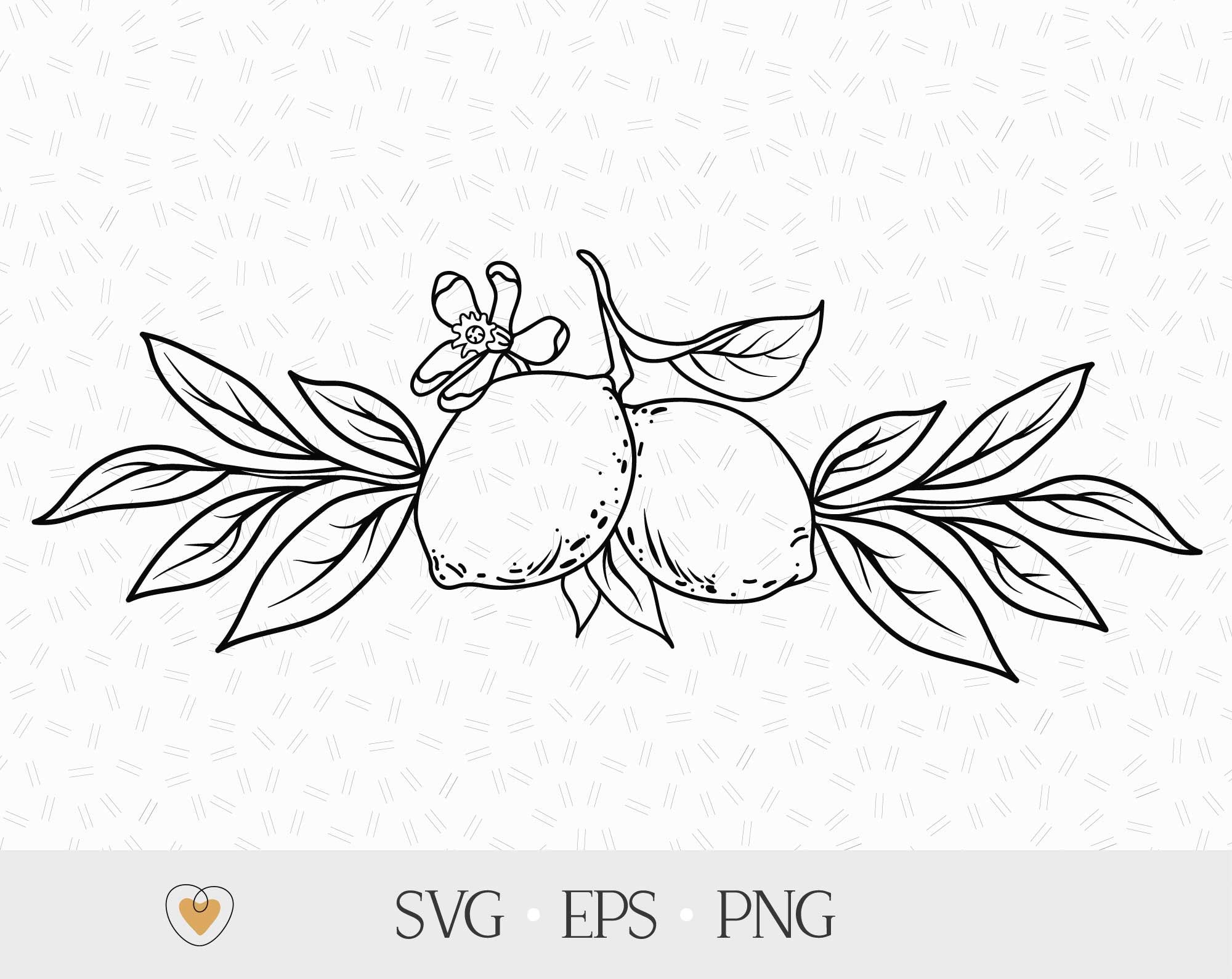 Lemon Svg Lemon Border Svg Tree Branch Svg Citrus Fruit Png - Etsy Canada