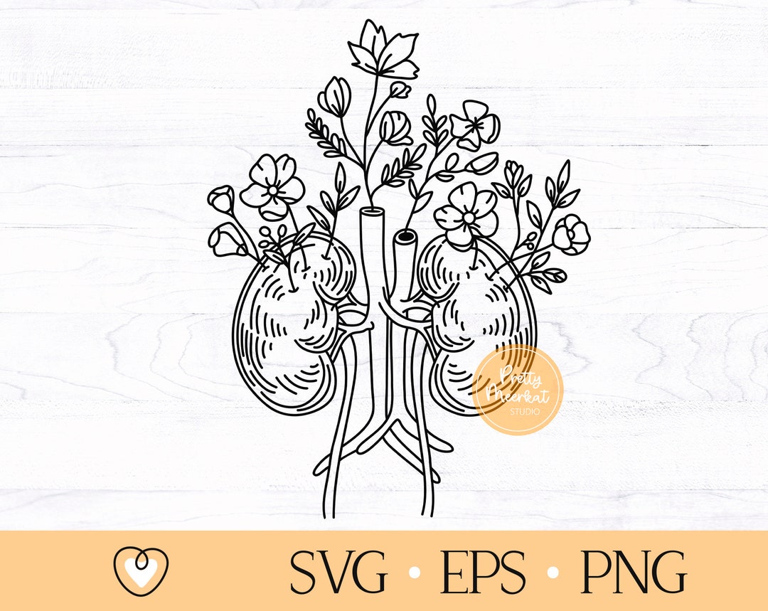 Kidneys Svg, Floral Kidneys Svg, Kidneys With Wildflowers Svg, Png File ...