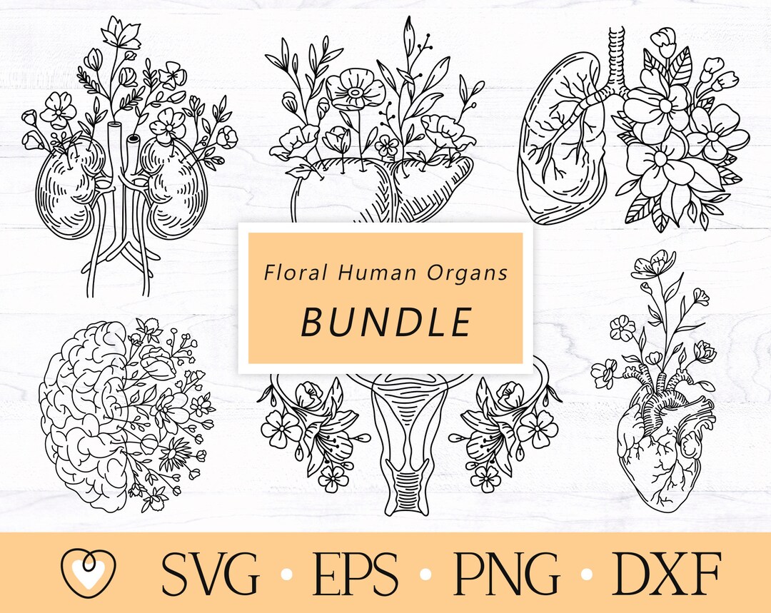 Floral Human Organs Svg Bundle, Brain Svg, Anatomical Heart Svg, Lungs ...