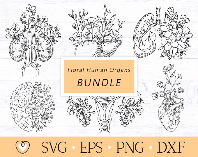 Human Organs SVG Clipart Bundle: Medical Digital Images (18 Pack ...