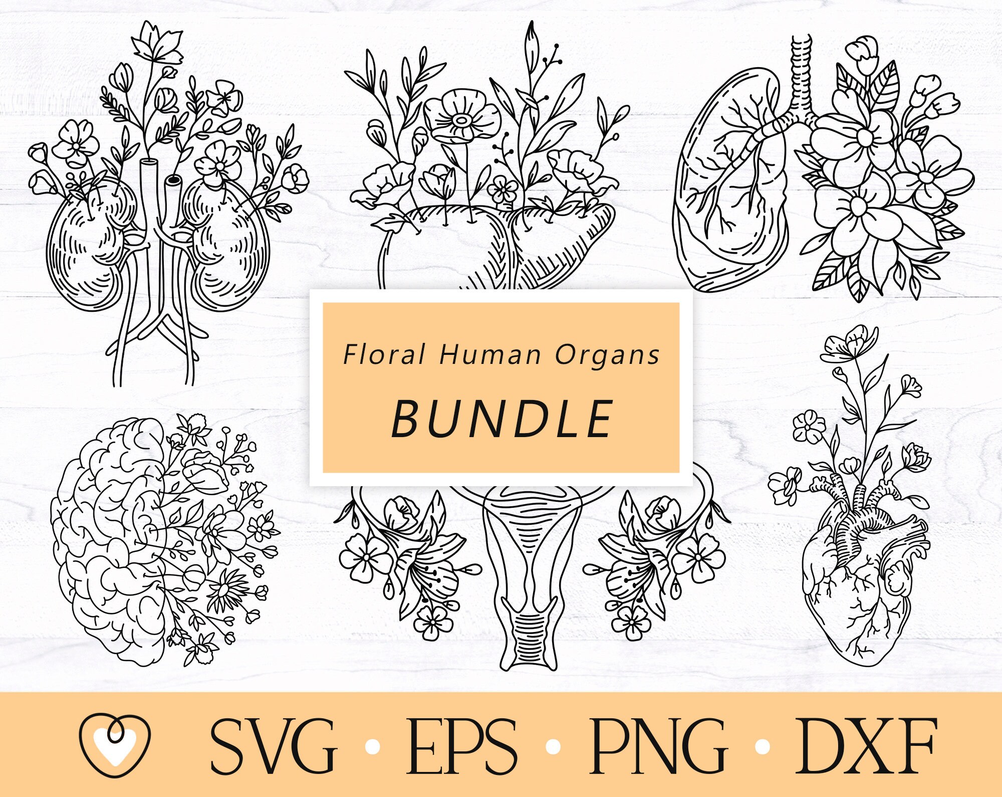 Floral Human Organs Svg Bundle Brain Svg Anatomical Heart - Etsy Canada