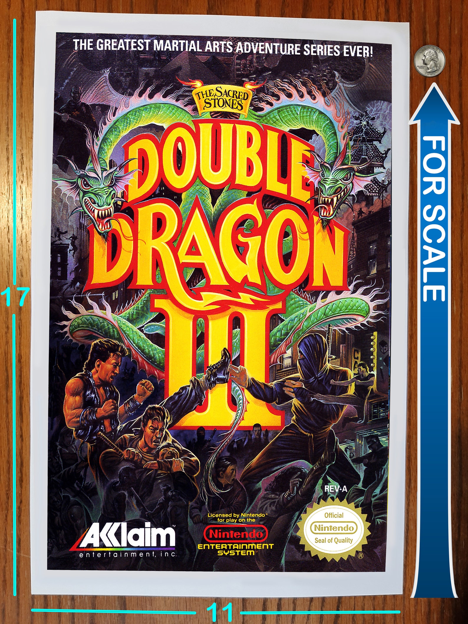 Double Dragon 3 Nintendo Video Game Cover Reprint Poster | Etsy