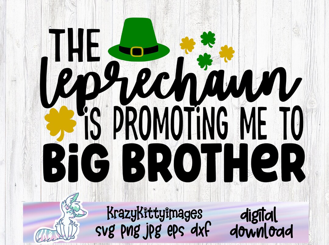 The Leprechaun is Promoting Me to Big Brother, Big Brother Promotion ...