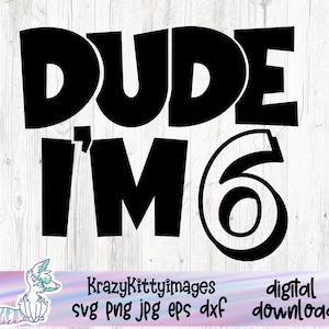 Sixth Birthday Svg, 6 Years Old Birthday Boy Cut File, Funny Birthday ...