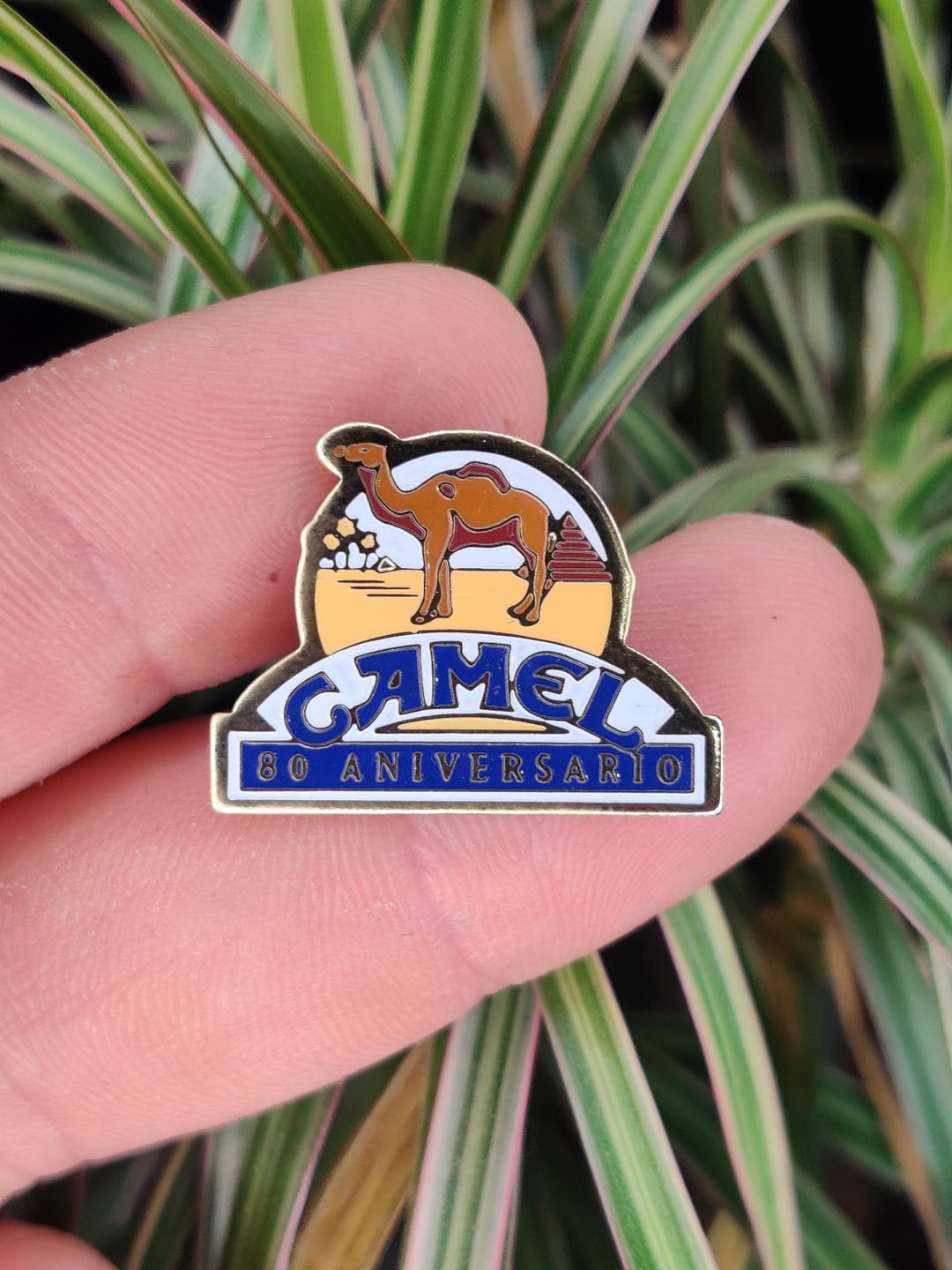 Camel Cigarettes 80th Anniversary Vintage Enamel Lapel Pin Badge - Etsy