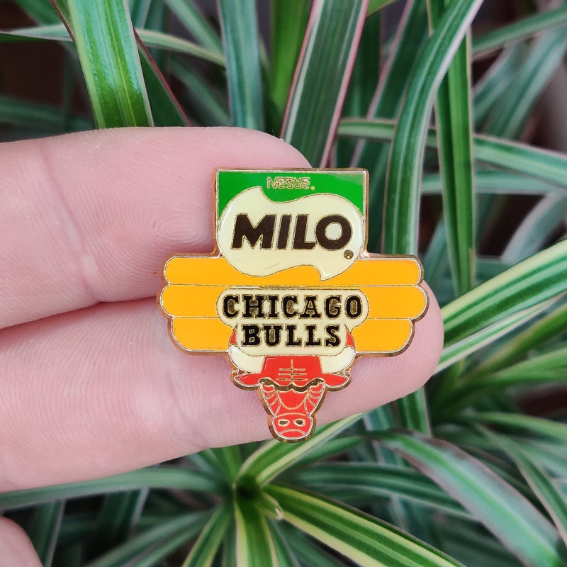 Chicago Bulls Pin - Etsy