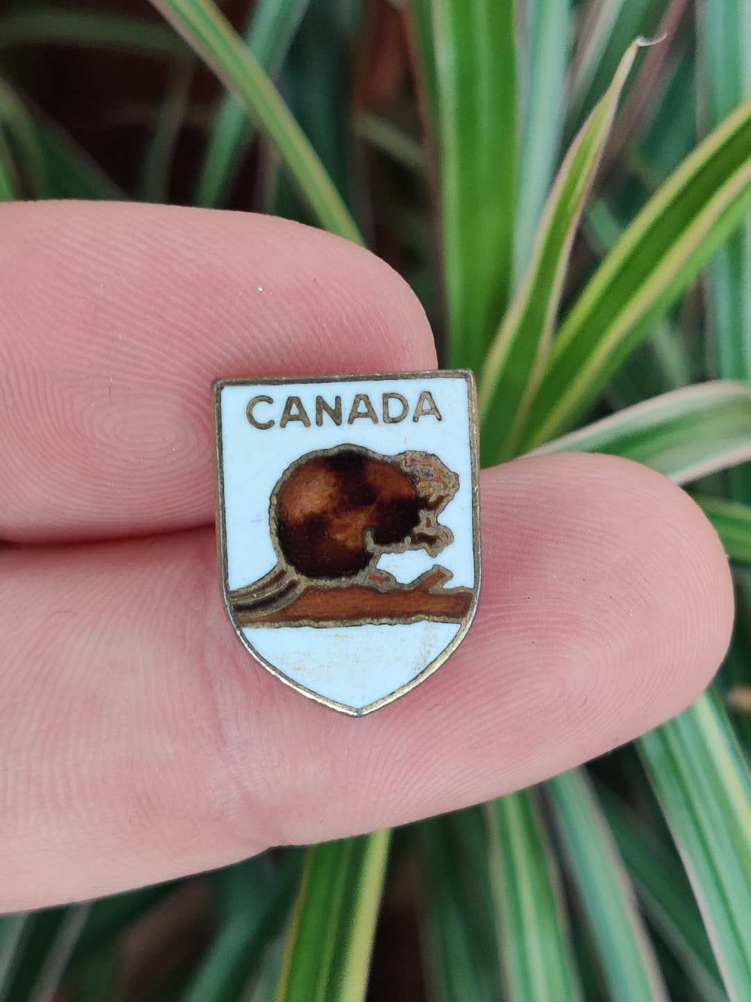 Canadian Beaver Vintage Enamel Lapel Pin Badge. - Etsy