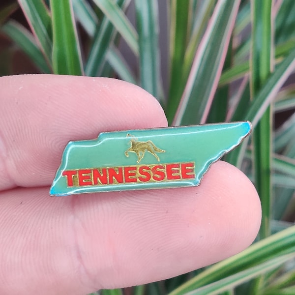 Vintage Tennessee Lapel Pin - Etsy