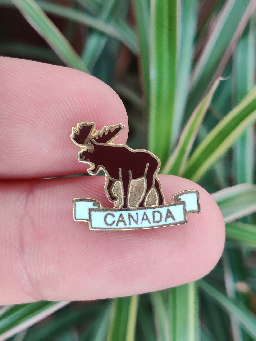 Canada Moose Vintage Enamel Lapel Pin Badge. - Etsy