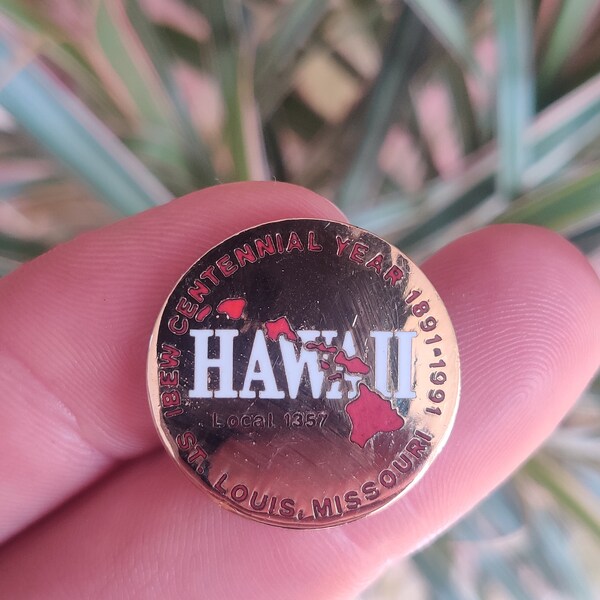 Hawaii Pin - Etsy