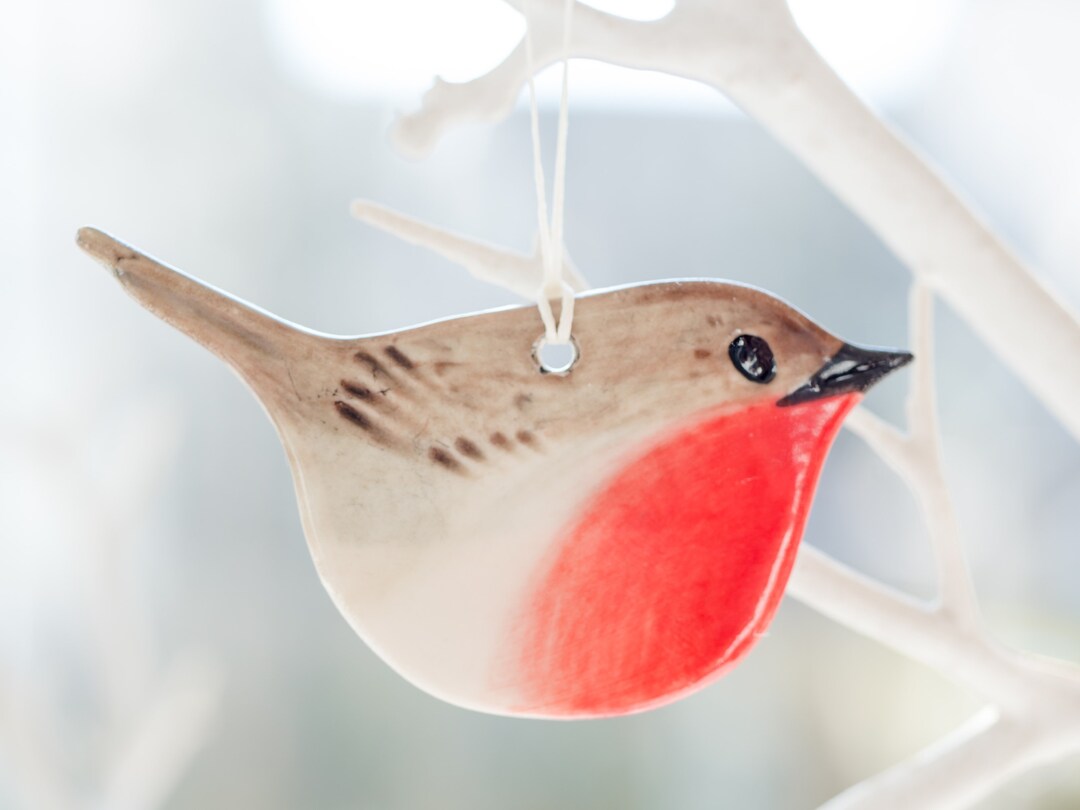 Sympathy, Memorial, Bereavement Gift - Robin - Etsy