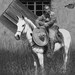 Western Art,cowboy Andhorse,mexican Cowboy,hispanic Culture Charro ...