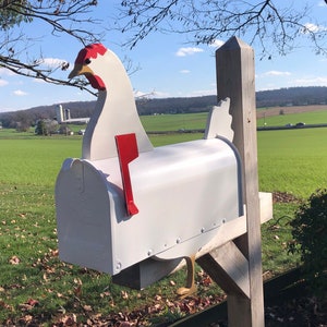 Chicken Mailbox | Black Chicken | Brown Chicken | Red Chicken | White ...