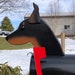 Doberman Pinscher Mailbox | Unique Dog Mailbox | PP016 - Etsy