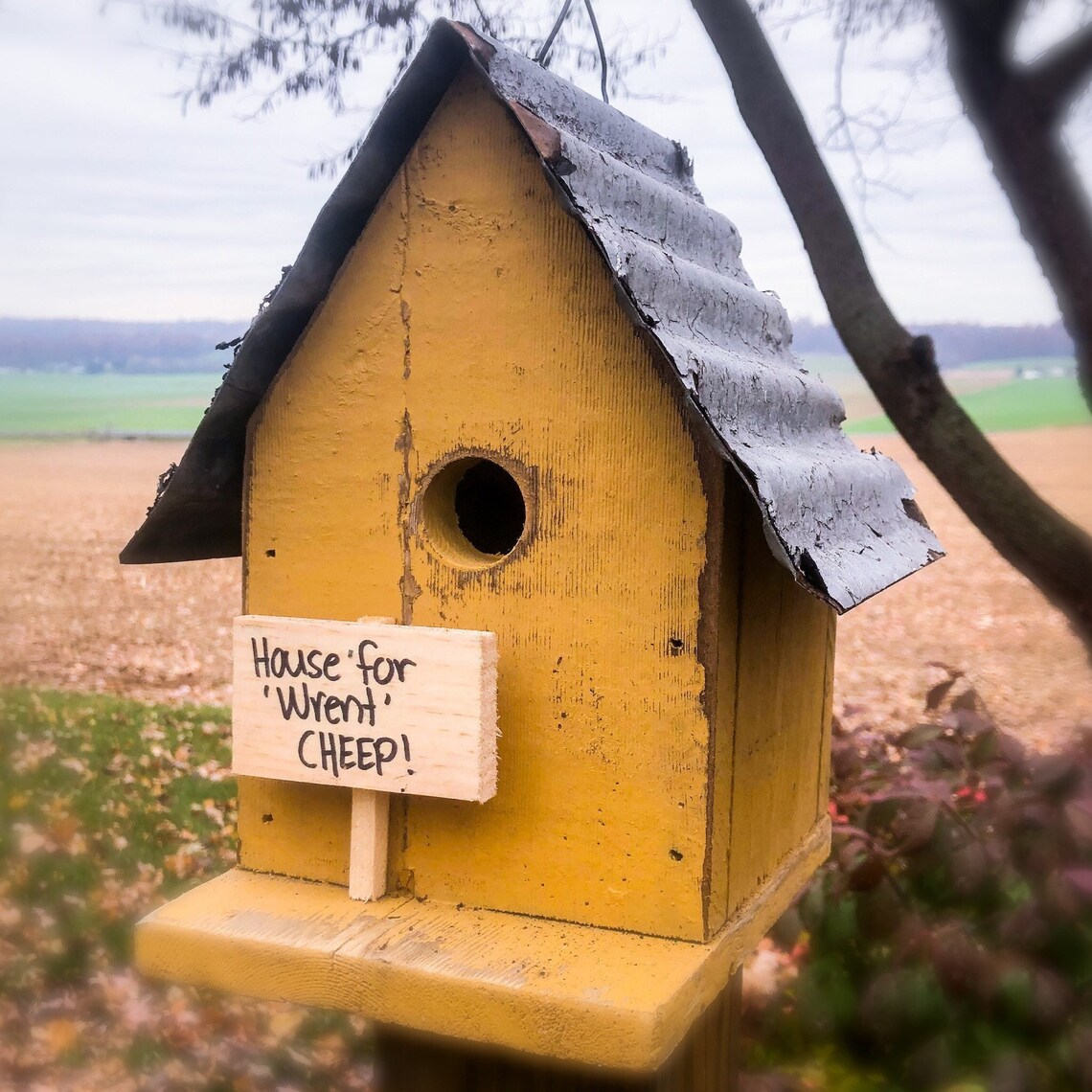 Wrent for Cheep Birdhouse Adorable Hand Painted Birdhouse - Etsy