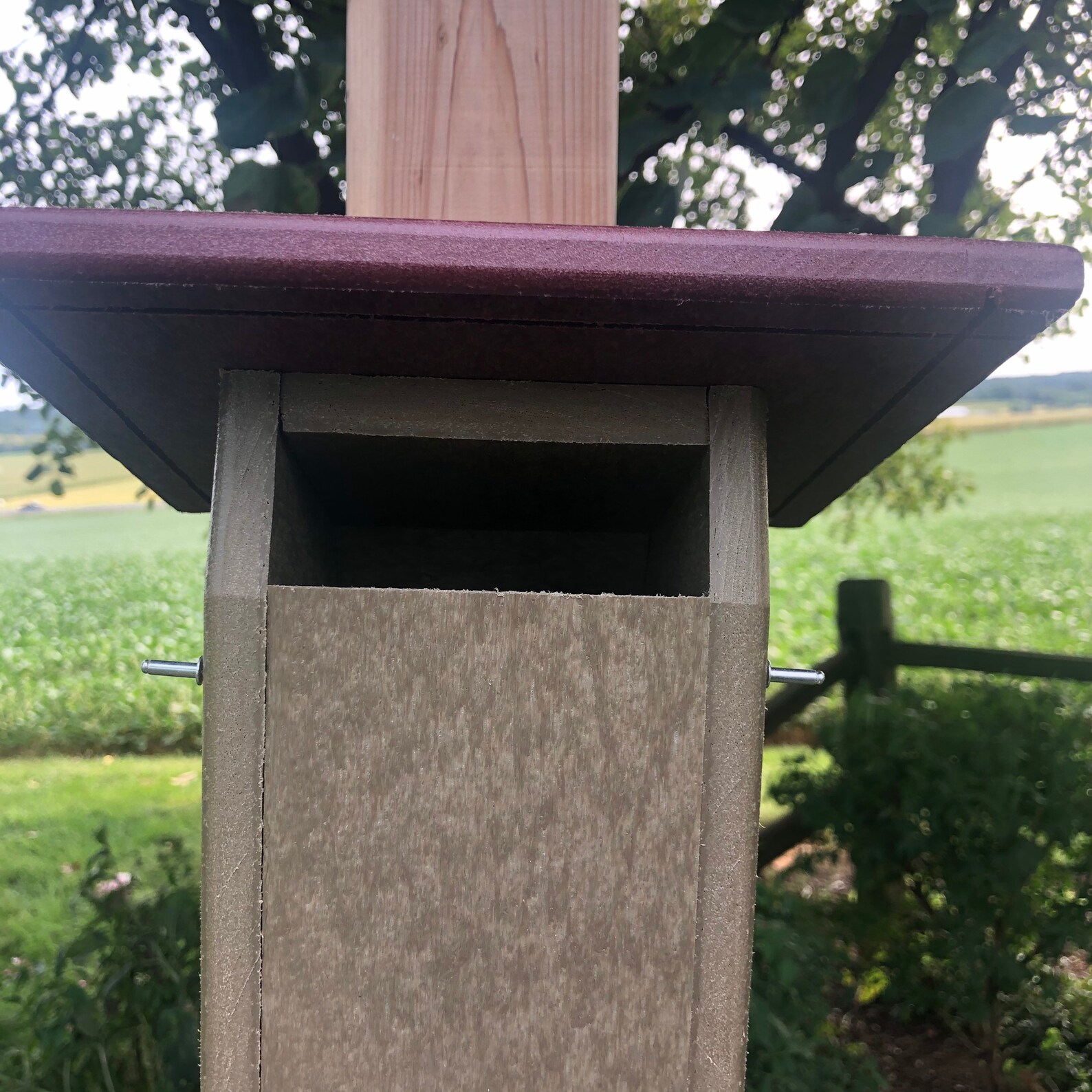 Sparrow Resistant Blue Bird Box Durable Poly Lumber Amish | Etsy