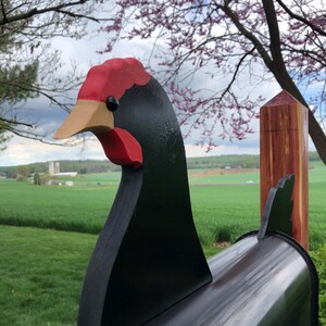 Chicken Mailbox | Black Chicken | Brown Chicken | Red Chicken | White ...