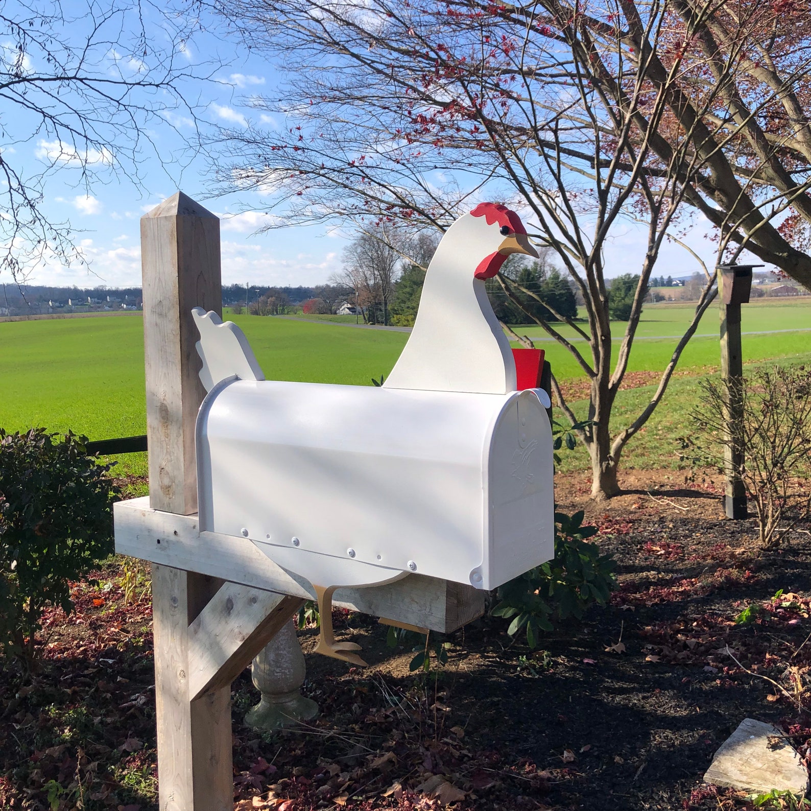 Chicken Mailbox Farm Animal Unique Mailbox PP017 - Etsy