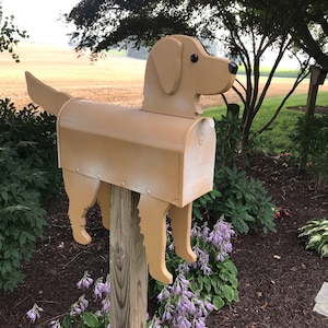 Golden Retriever Mailbox | Unique Dog Mailbox | Pp050 - Etsy