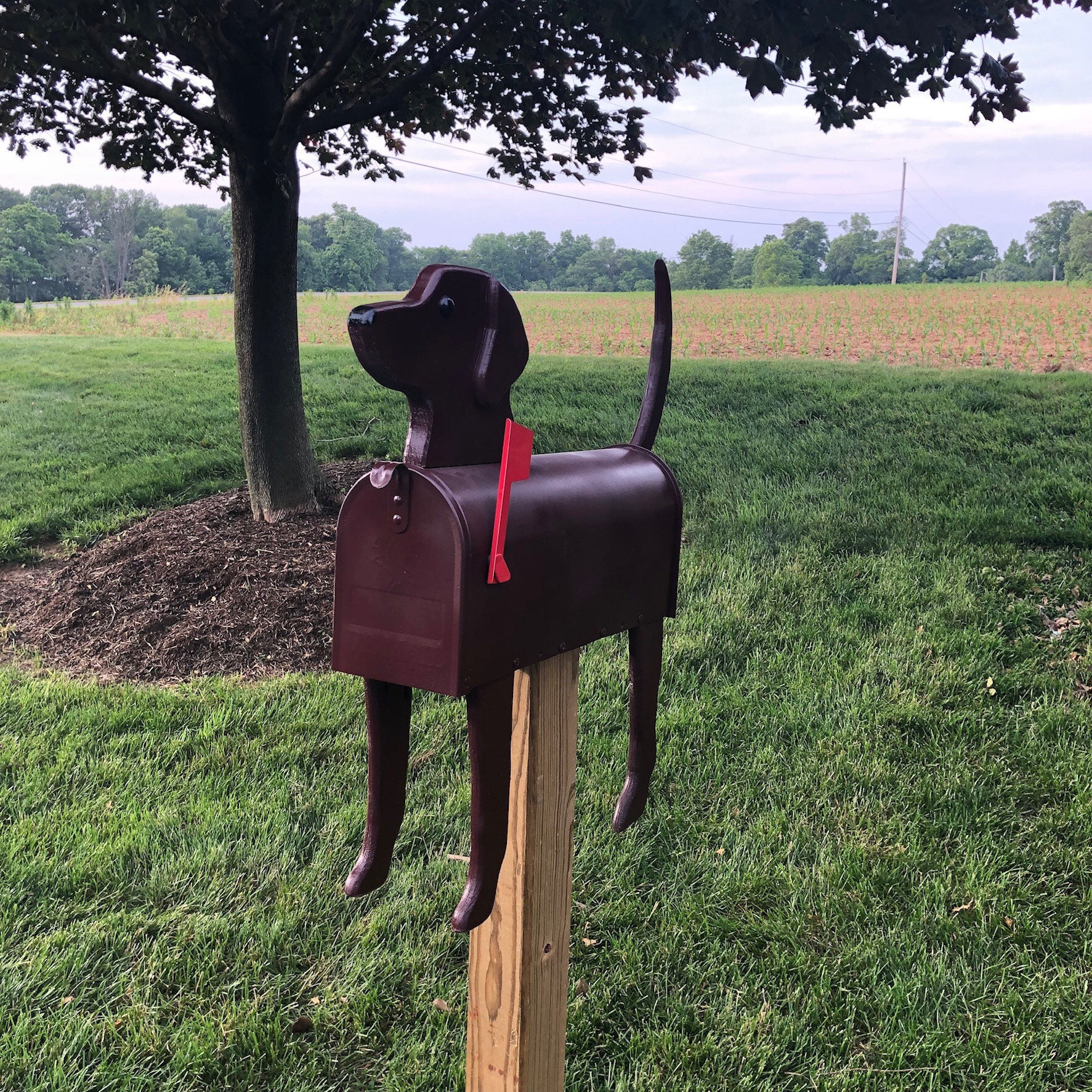 Chocolate Lab | Unique Dog Mailbox | PP003 - Etsy