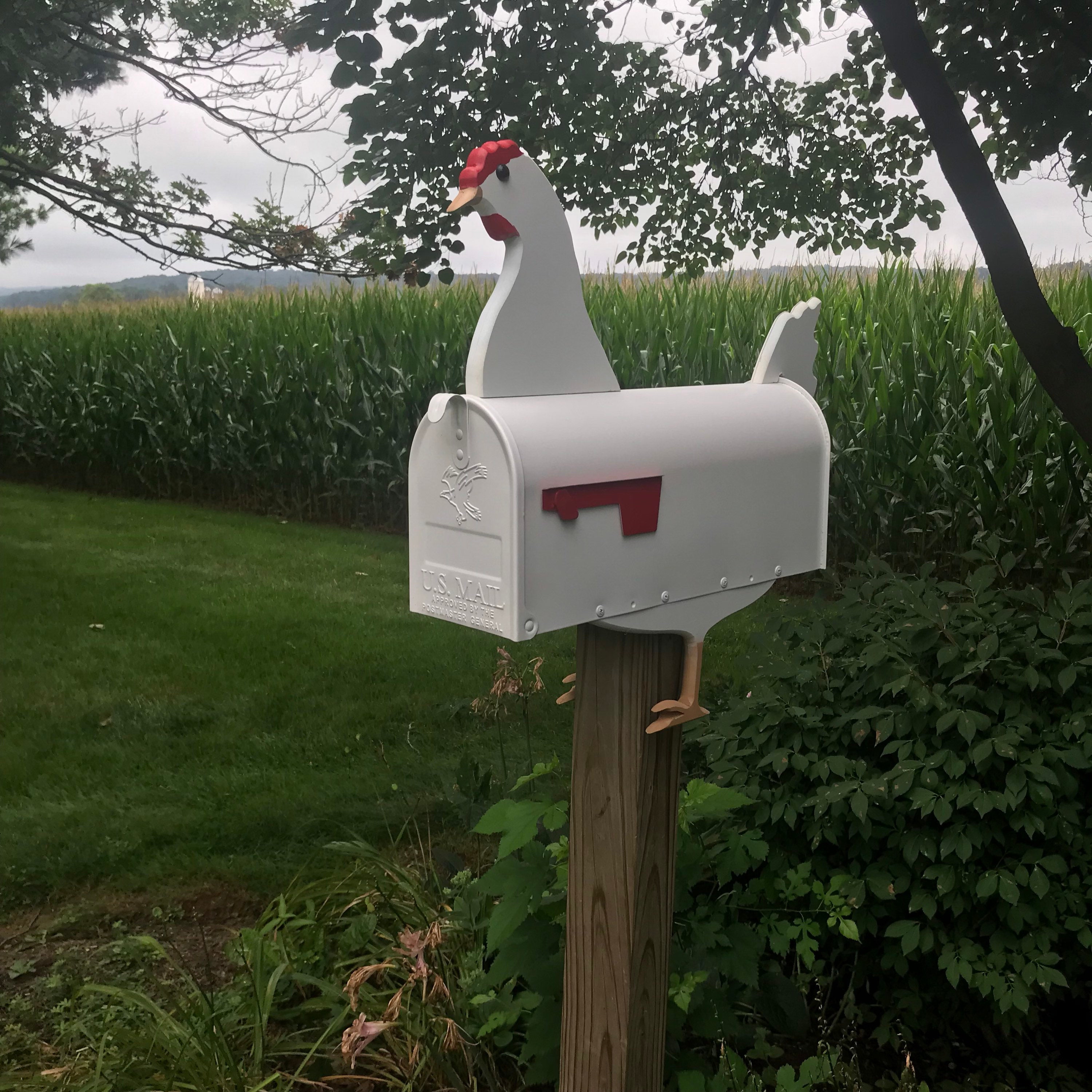 Chicken Mailbox Farm Animal Unique Mailbox PP017 | Etsy