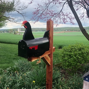 Chicken Mailbox | Black Chicken | Brown Chicken | Red Chicken | White ...