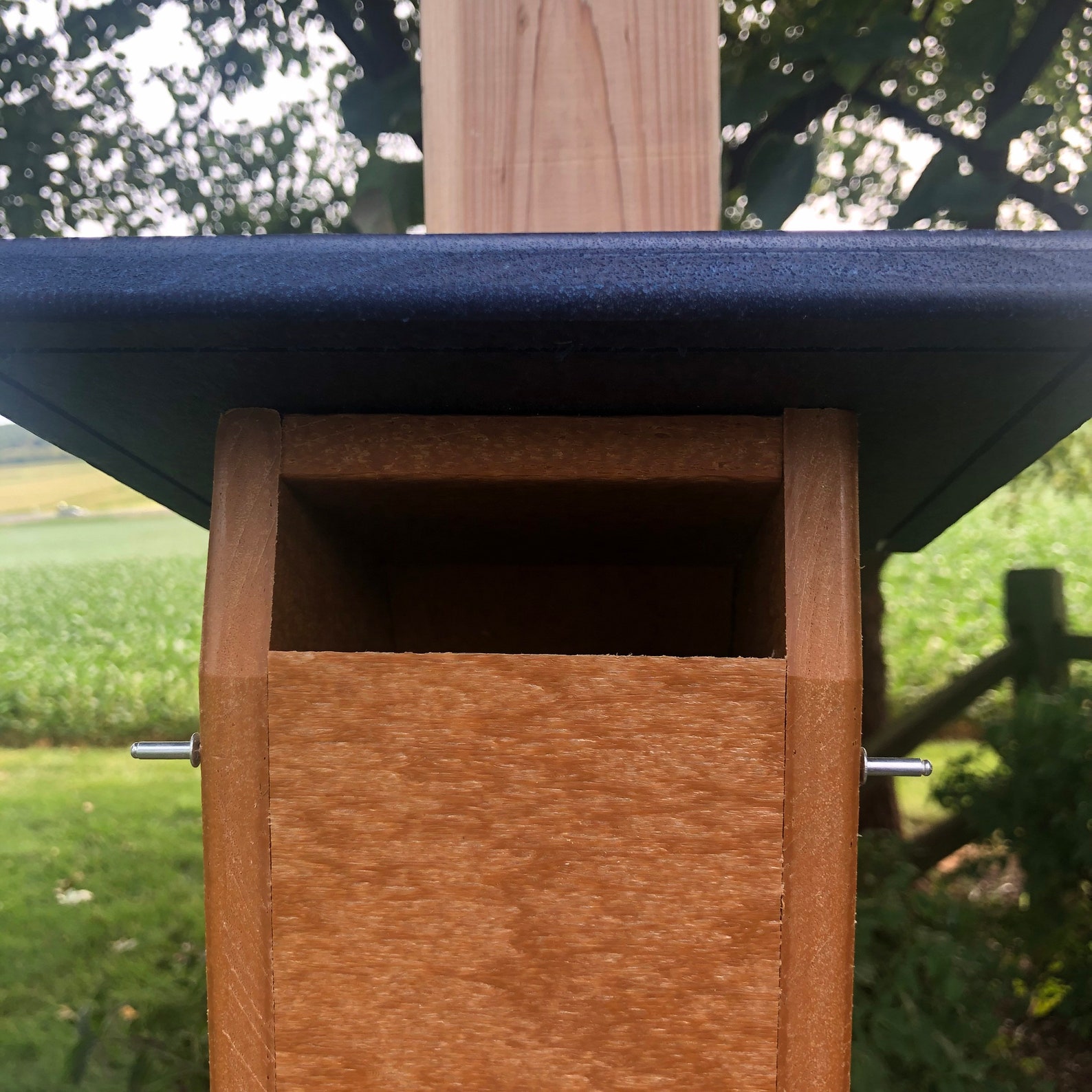 Sparrow Resistant Blue Bird Box Durable Poly Lumber Amish | Etsy