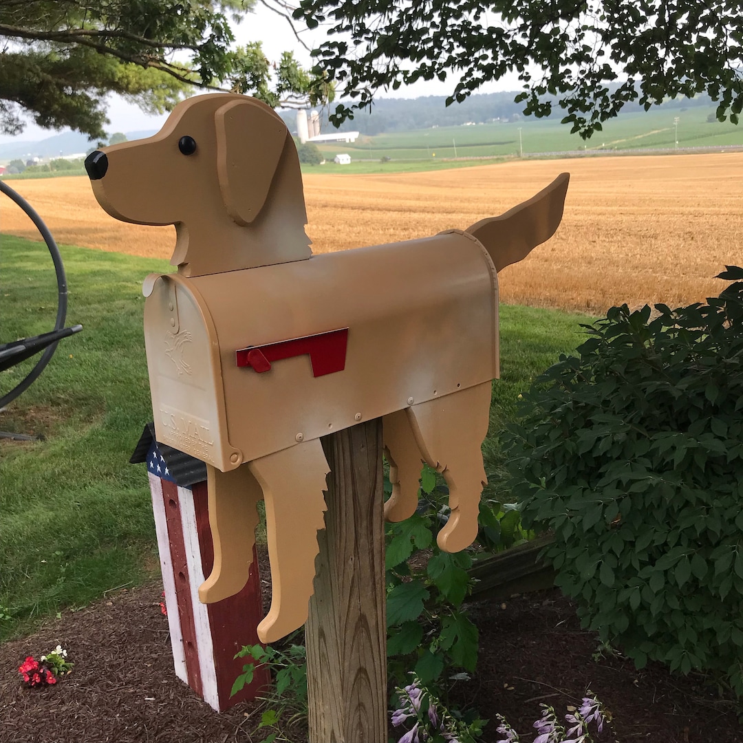 Golden Retriever Mailbox | Unique Dog Mailbox | Pp050 - Etsy