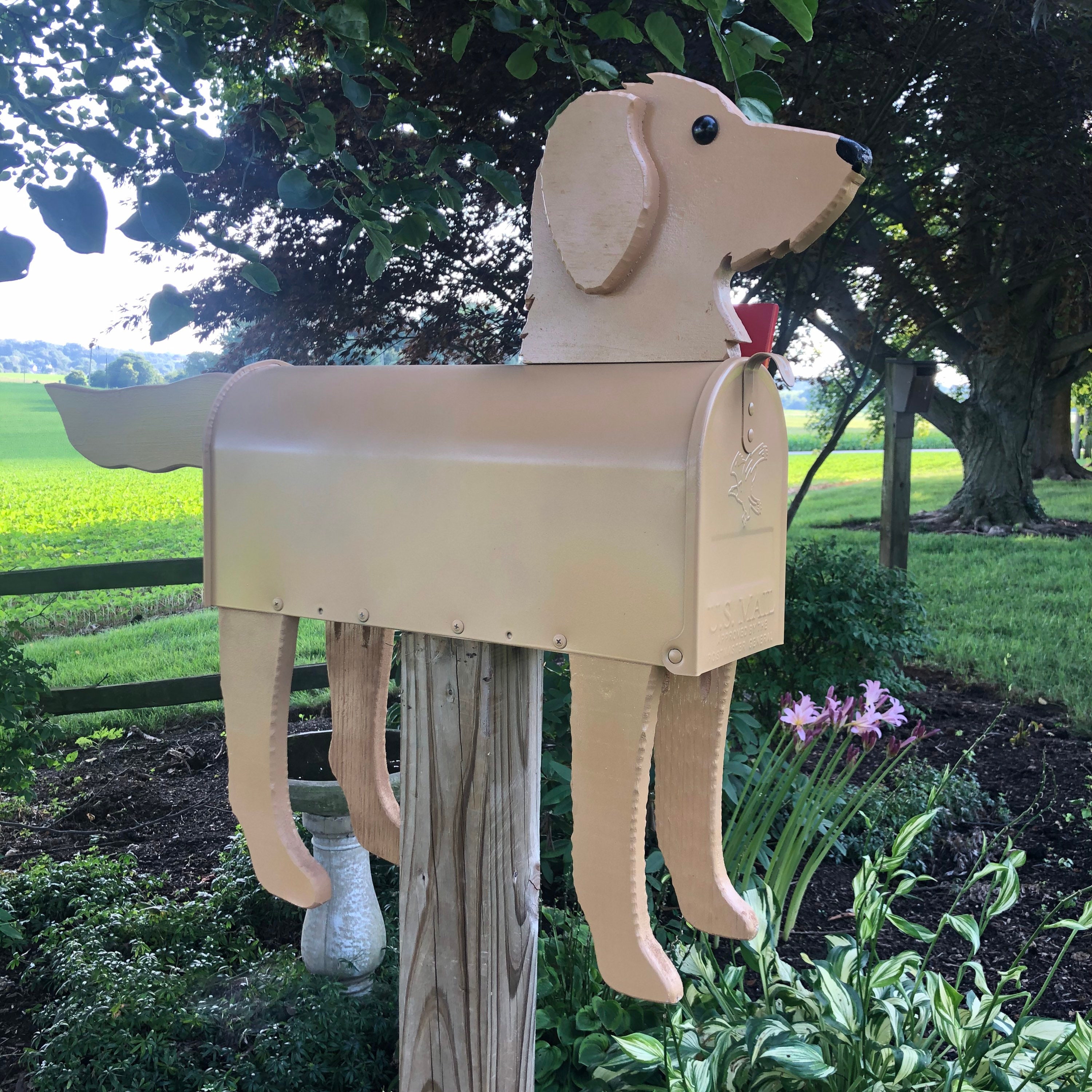Golden Doodle Mailbox Unique Dog Mailbox Pp014 - Etsy