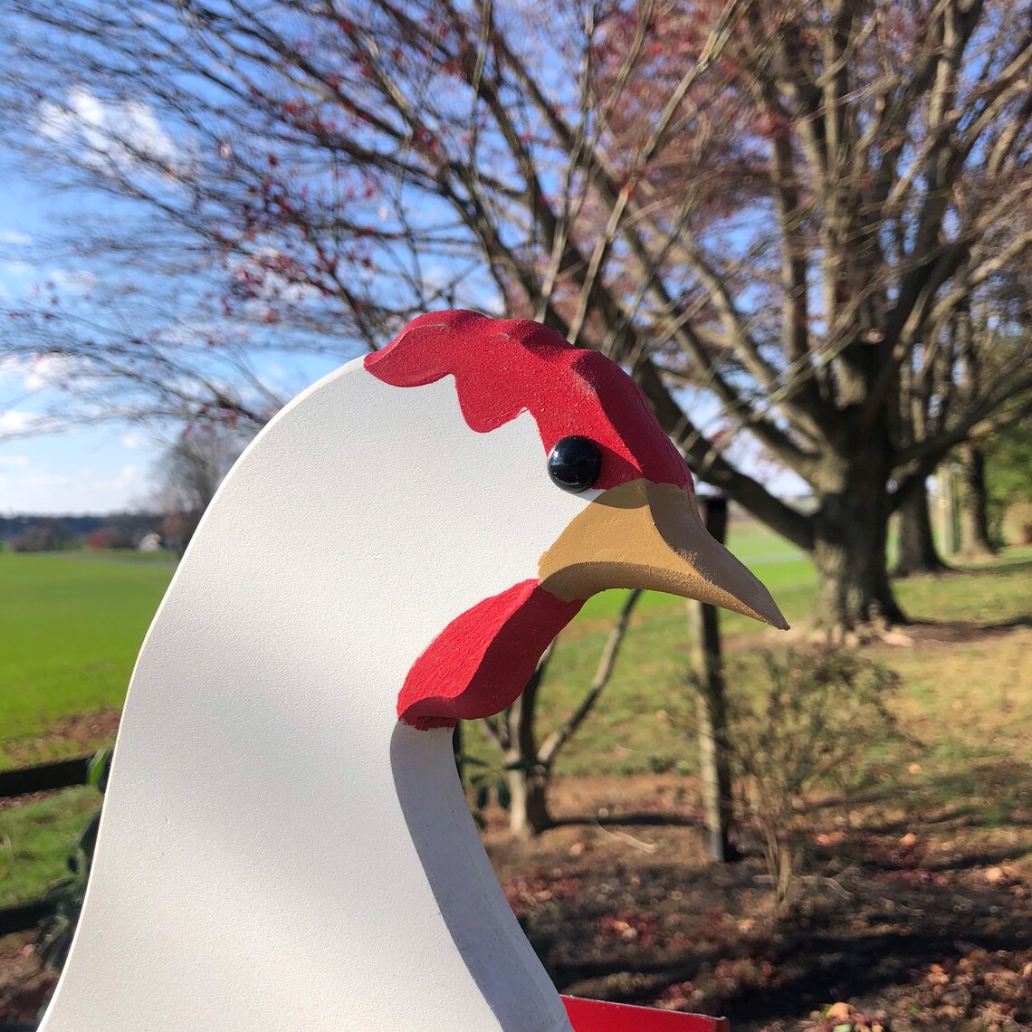 Chicken Mailbox Farm Animal Unique Mailbox PP017 - Etsy