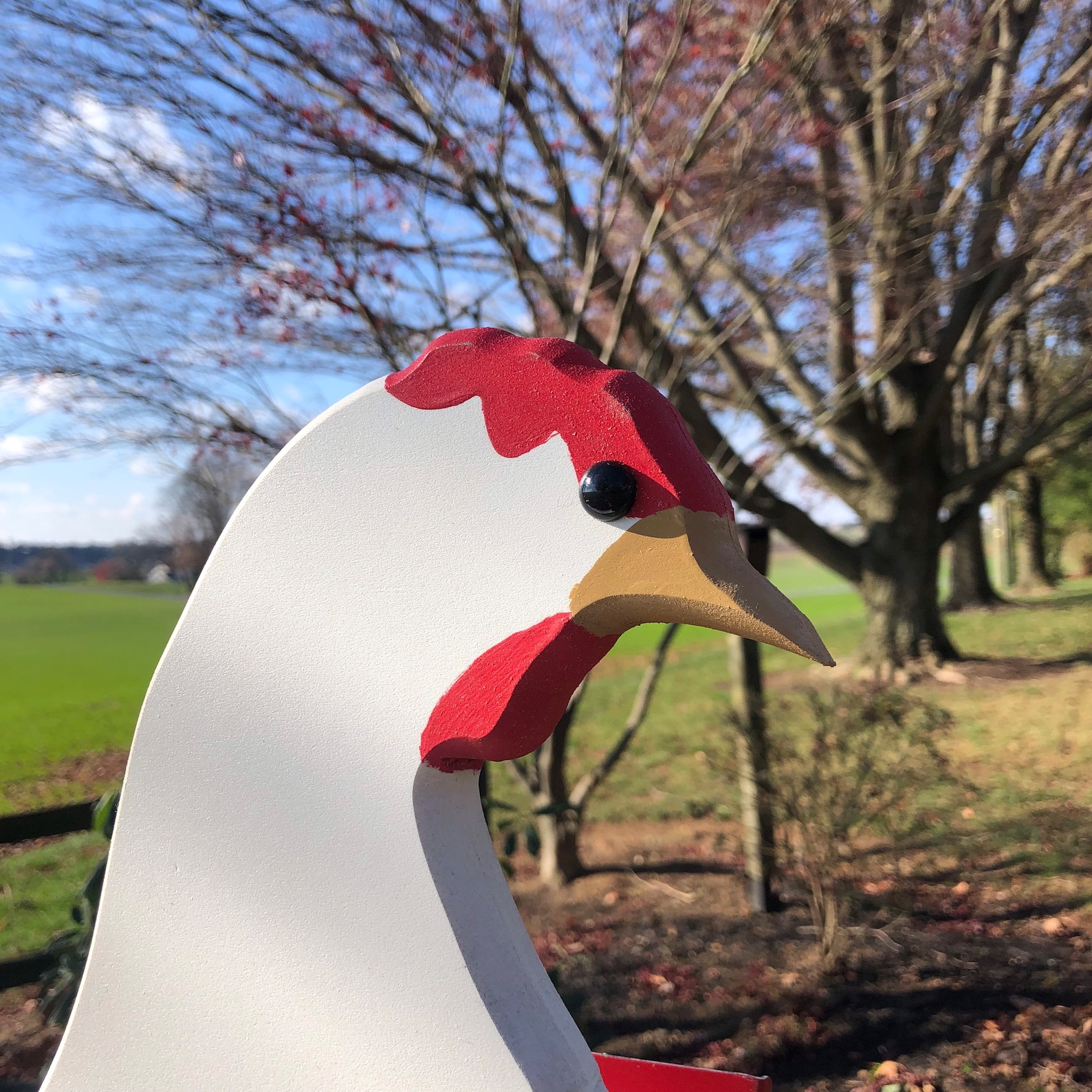 Chicken Mailbox Farm Animal Unique Mailbox PP017 - Etsy