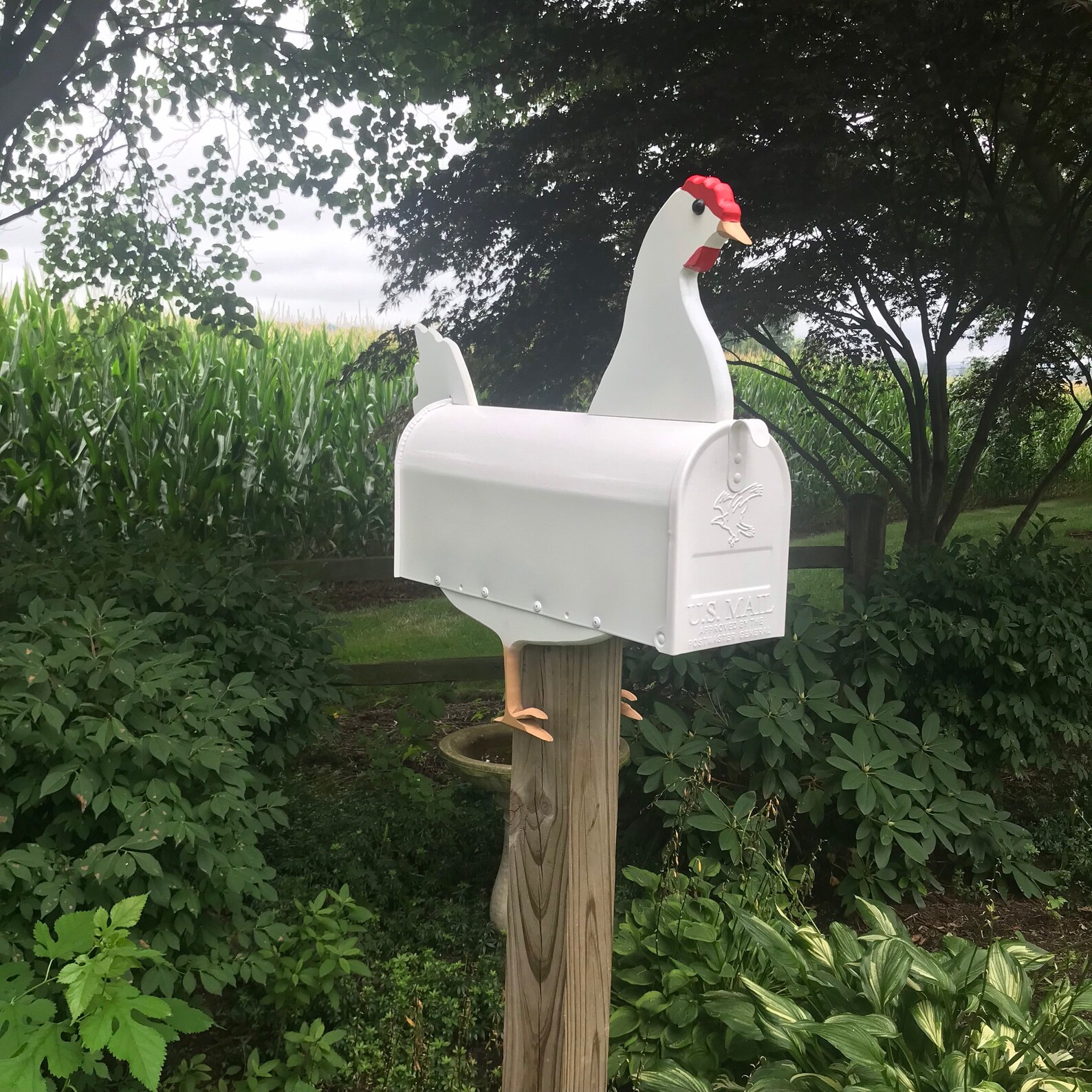Chicken Mailbox Farm Animal Unique Mailbox PP017 | Etsy