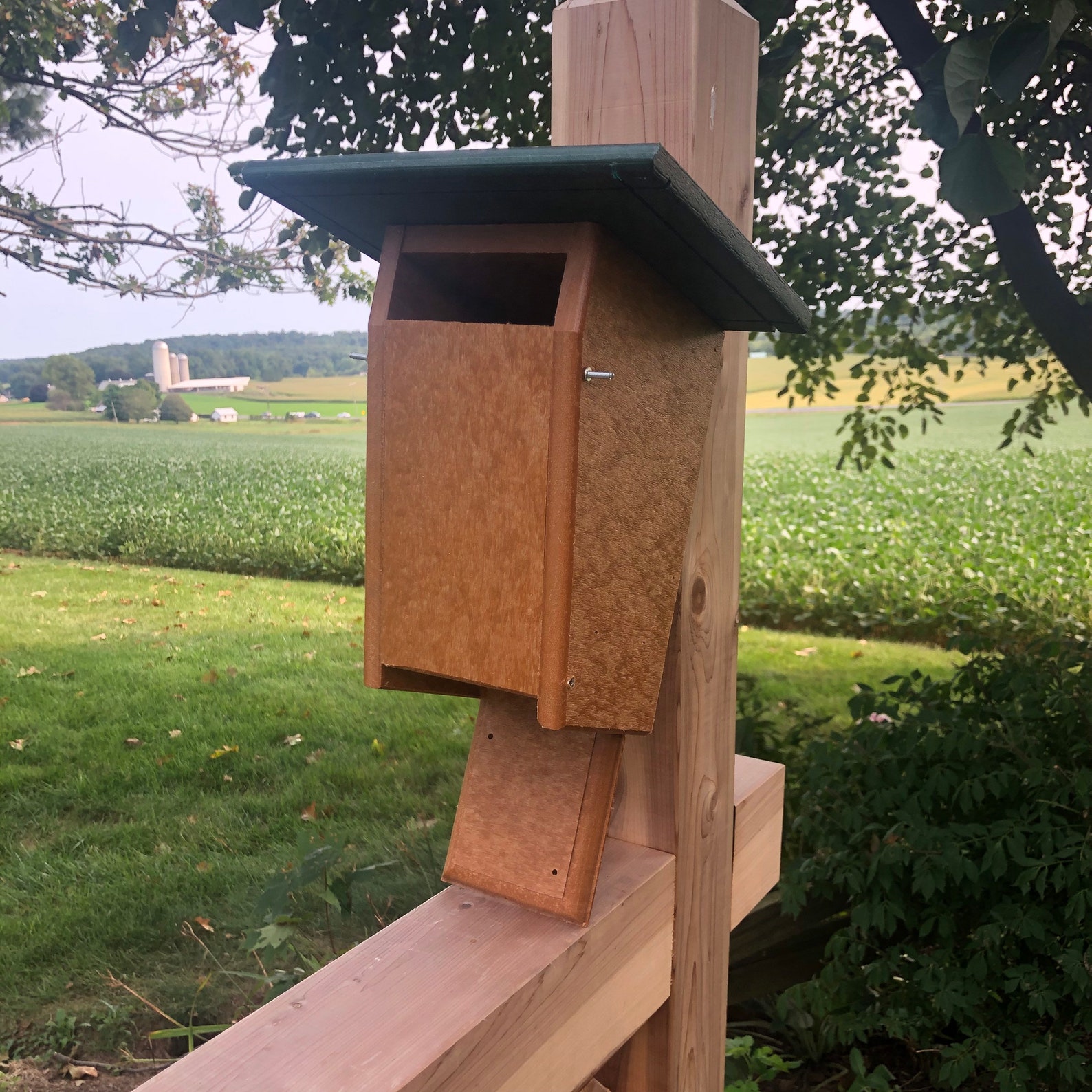 Sparrow Resistant Blue Bird Box | Durable Poly Lumber | Amish Made ...
