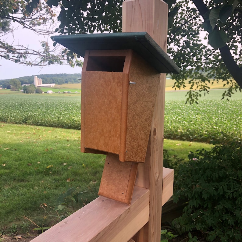 Sparrow Resistant Blue Bird Box Durable Poly Lumber Amish | Etsy