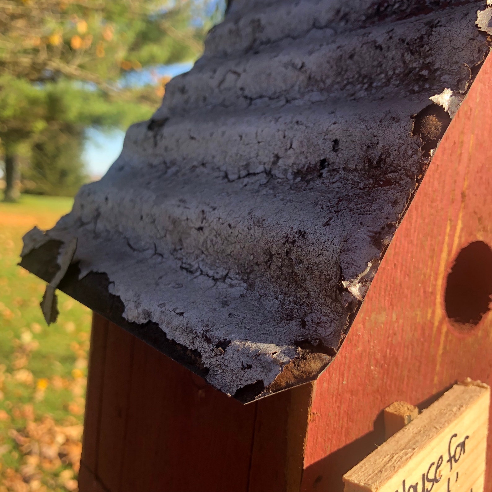Wrent for Cheep Birdhouse Adorable Hand Painted Birdhouse - Etsy