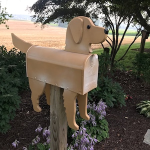 Golden Retriever Mailbox | Unique Dog Mailbox | Pp050 - Etsy