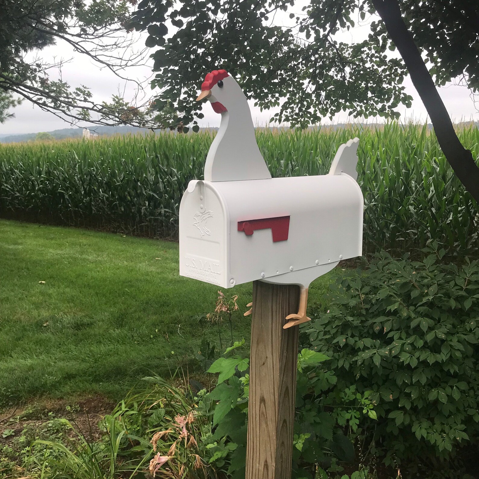 Chicken Mailbox Farm Animal Unique Mailbox PP017 | Etsy