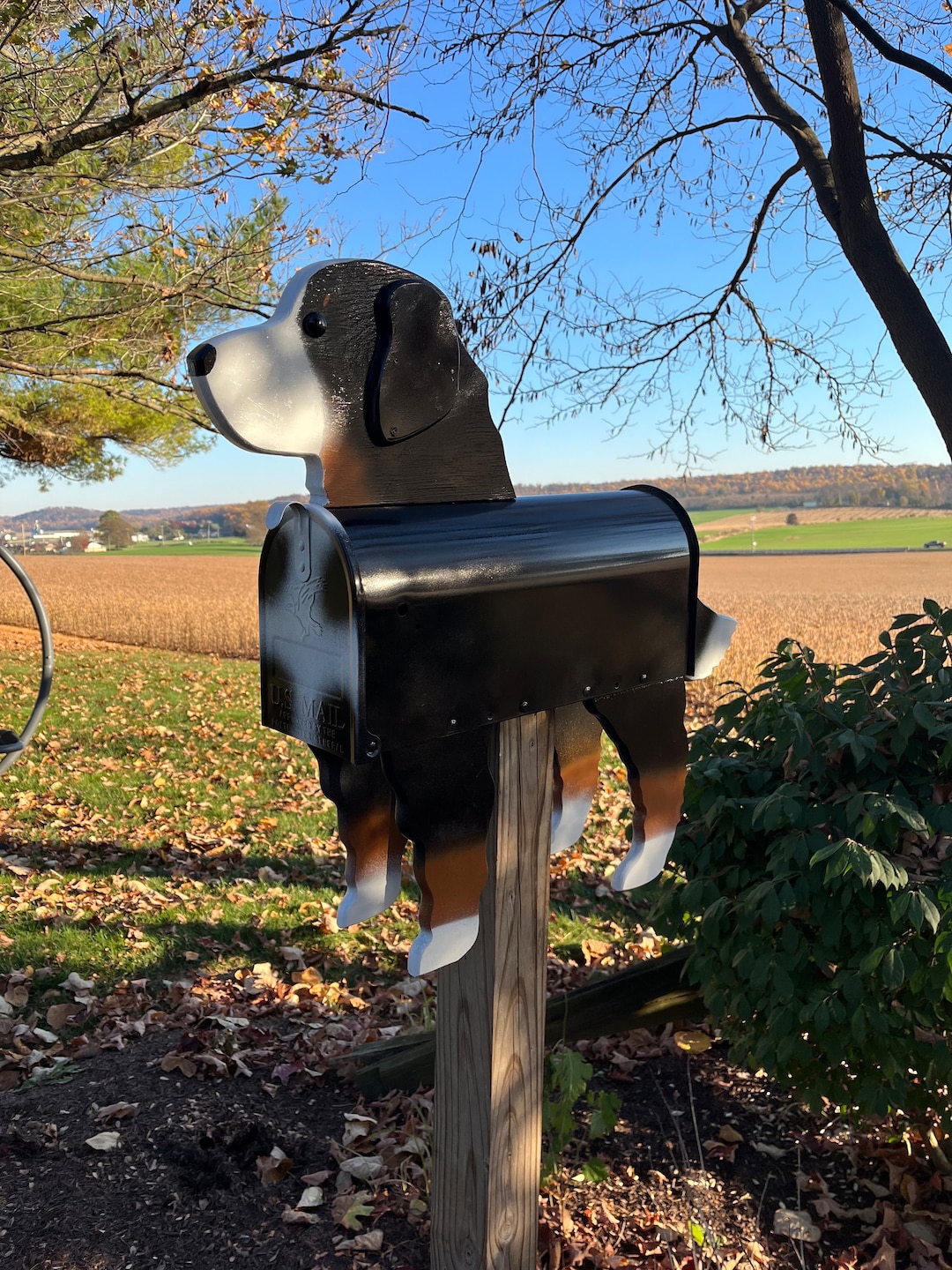 Bernese Mountain Dog Mailbox | Unique Dog Mailbox | Pp090 - Etsy
