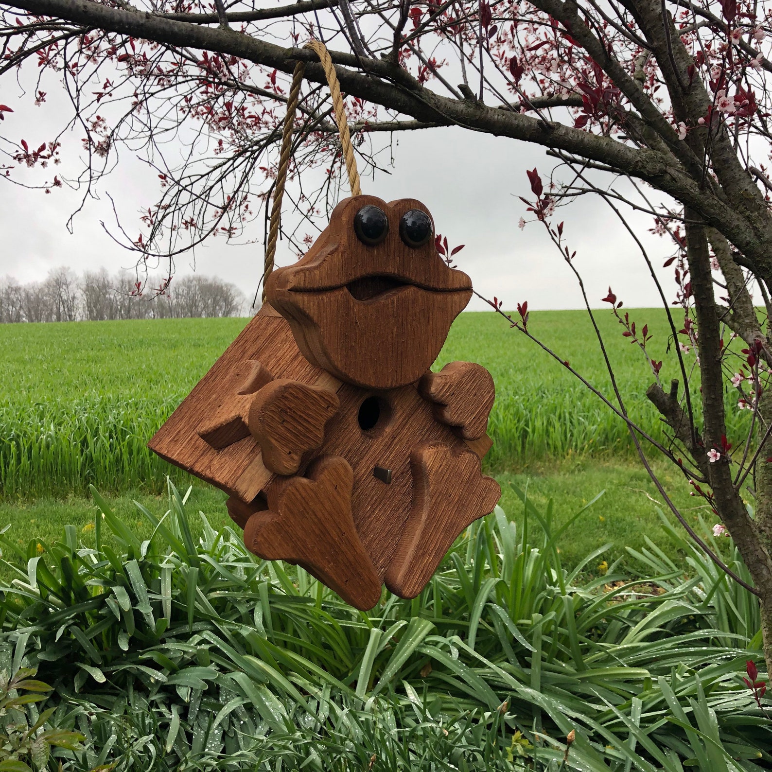 Frog Birdhouse Hand Made from Reclaimed Wood | Etsy
