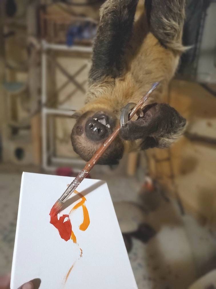 Sloth Paintings - Etsy