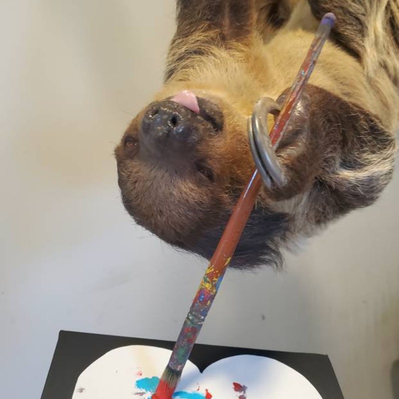 Sloth Painting - Etsy