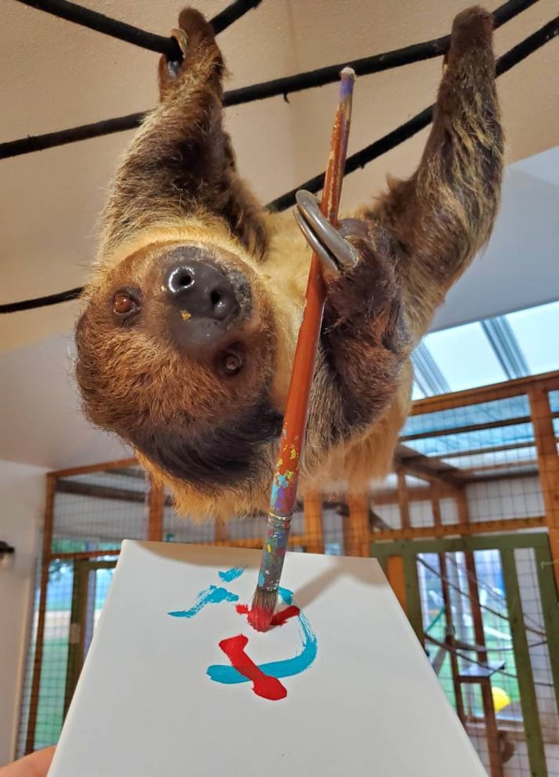 Sloth Paintings - Etsy