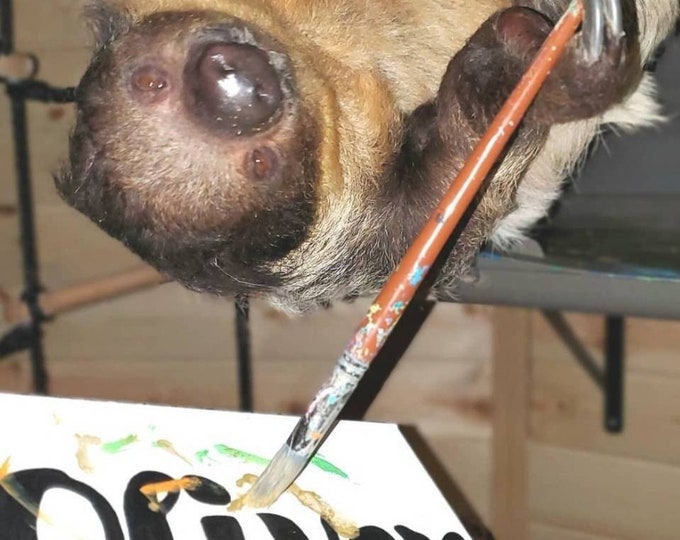 Sloth Paintings - Etsy