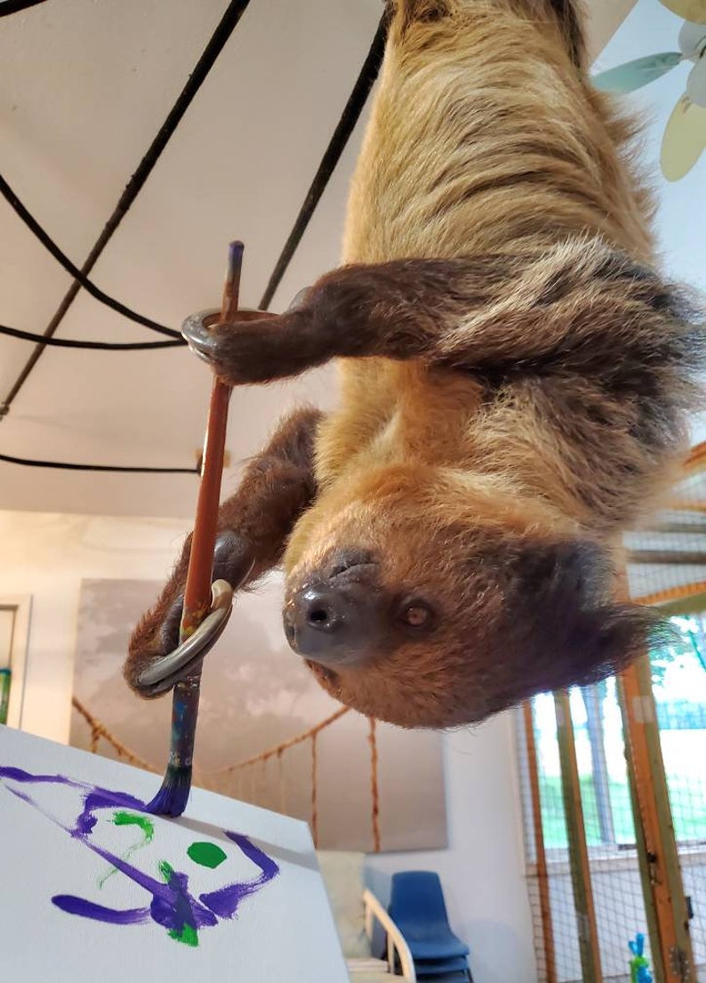 Sloth Paintings - Etsy