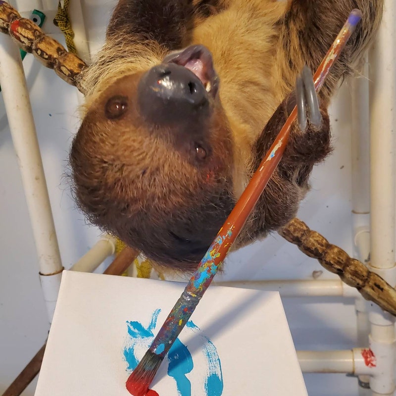 Sloth Painting - Etsy