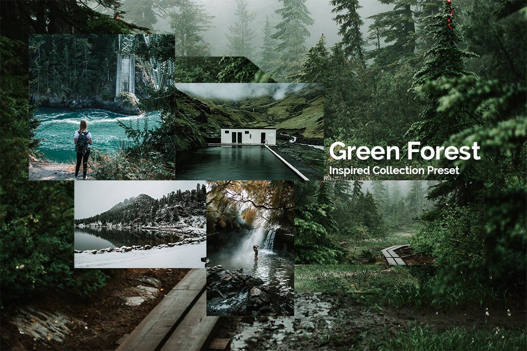 Green Forest Lightroom Preset: Mobile & Desktop Filter (DNG) - Etsy