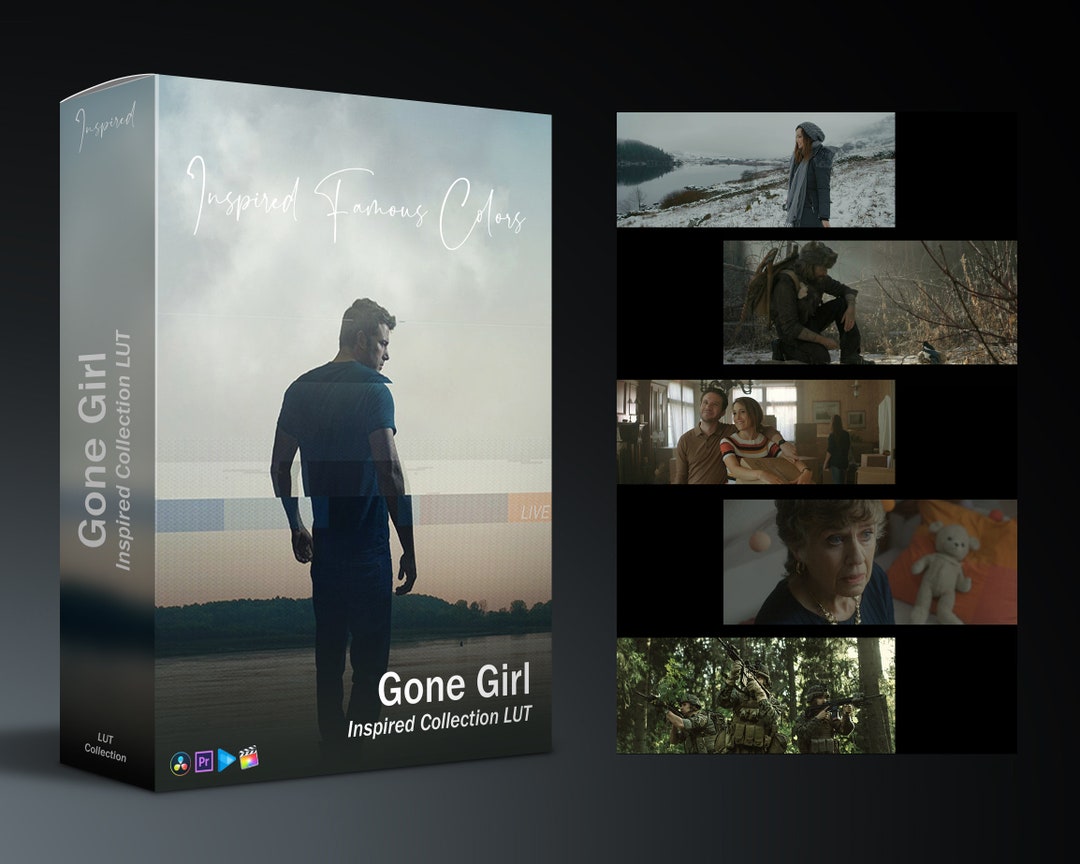 Gone Girl Inspired LUT: Cinematic Film Look (digital Download) - Etsy