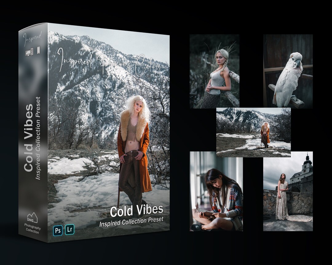 Cold Vibes Lightroom Preset: Moody Brown Tone (mobile & Desktop) - Etsy