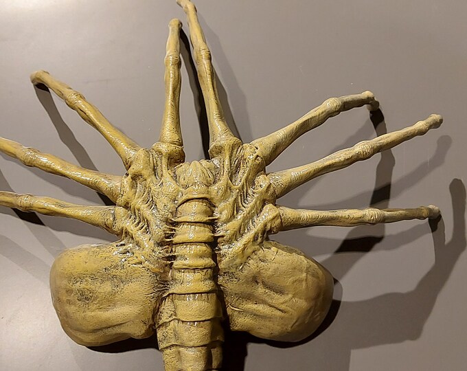 FACEHUGGER FROM ALIEN 1/1 Life-size Replica Approx. 110 Cm Length Top ...