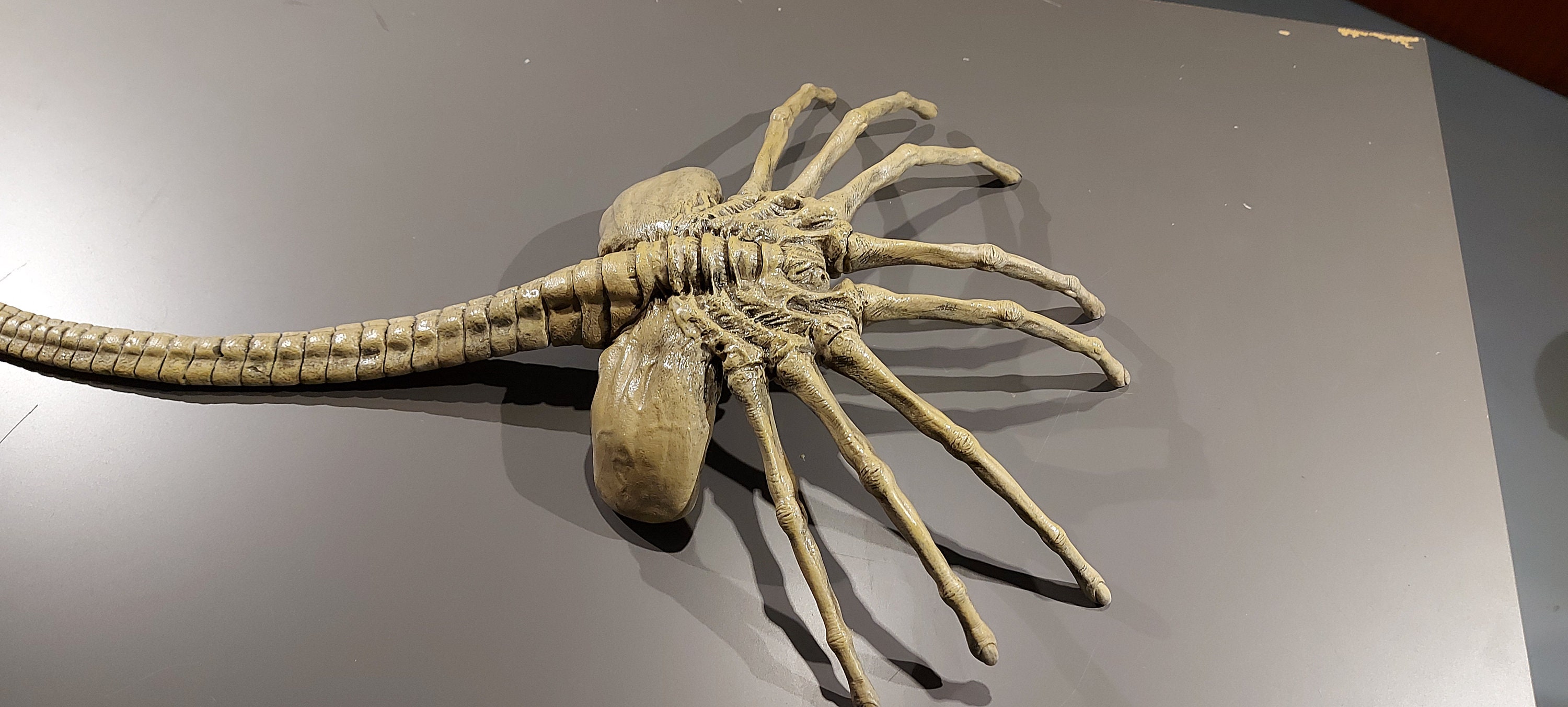 Alien 1979 Facehugger